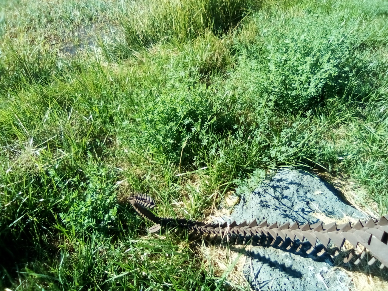 WilliamMorrowSculptures.com